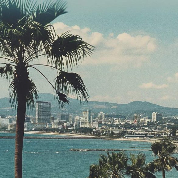 Sandals Resorts in Florida: Luxury Beachside Escape - Honeymoonerz